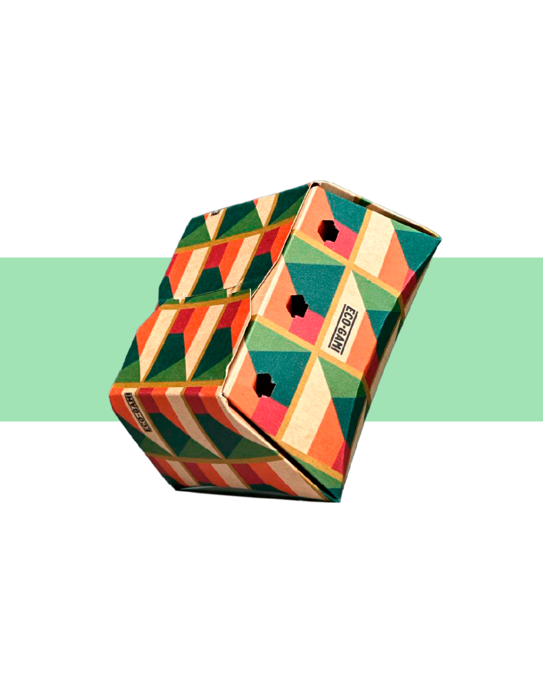 ECO GAMI – CASCARA TECH